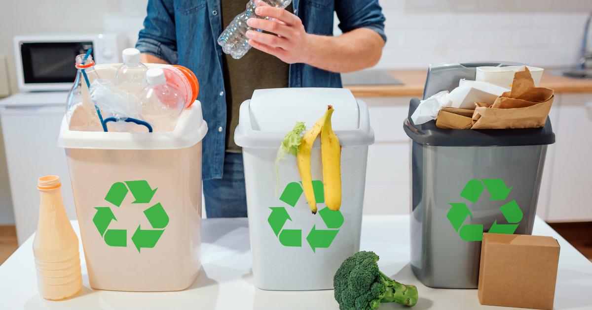 How to Handle Waste Segregation Effectively? - Mad Trash